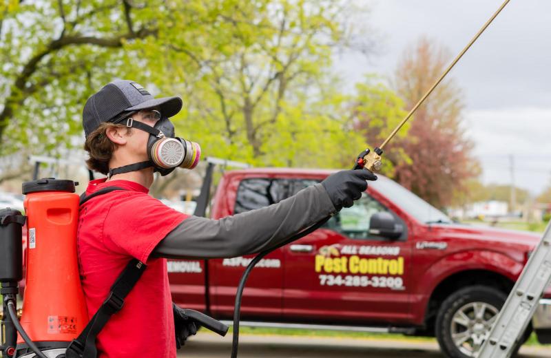 Pest Control in Detroit, MI | All Seasons